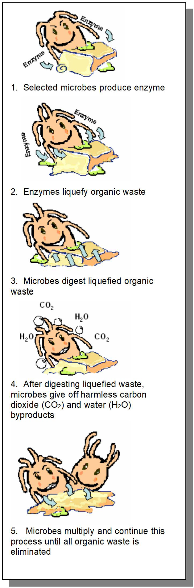 | LAKASA Biomatic Liquid Enzyme – Lakasa